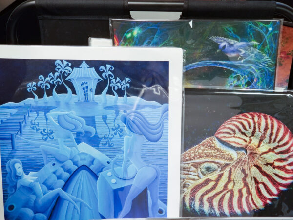 MCLM Media Pro - MartinCountyLifestyleMag.com